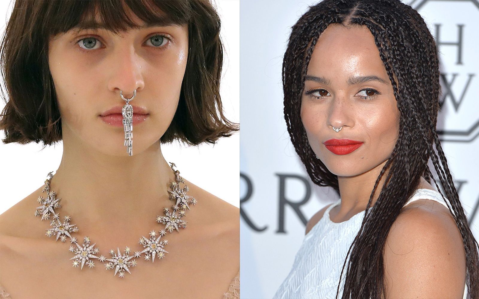 Storia ed evoluzione del septum