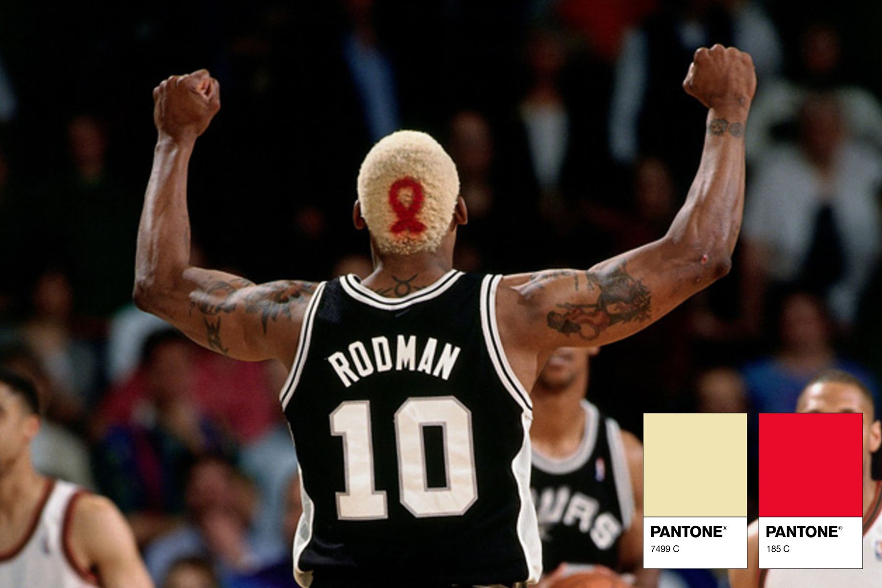 Dennis Rodman Cheetah Haar