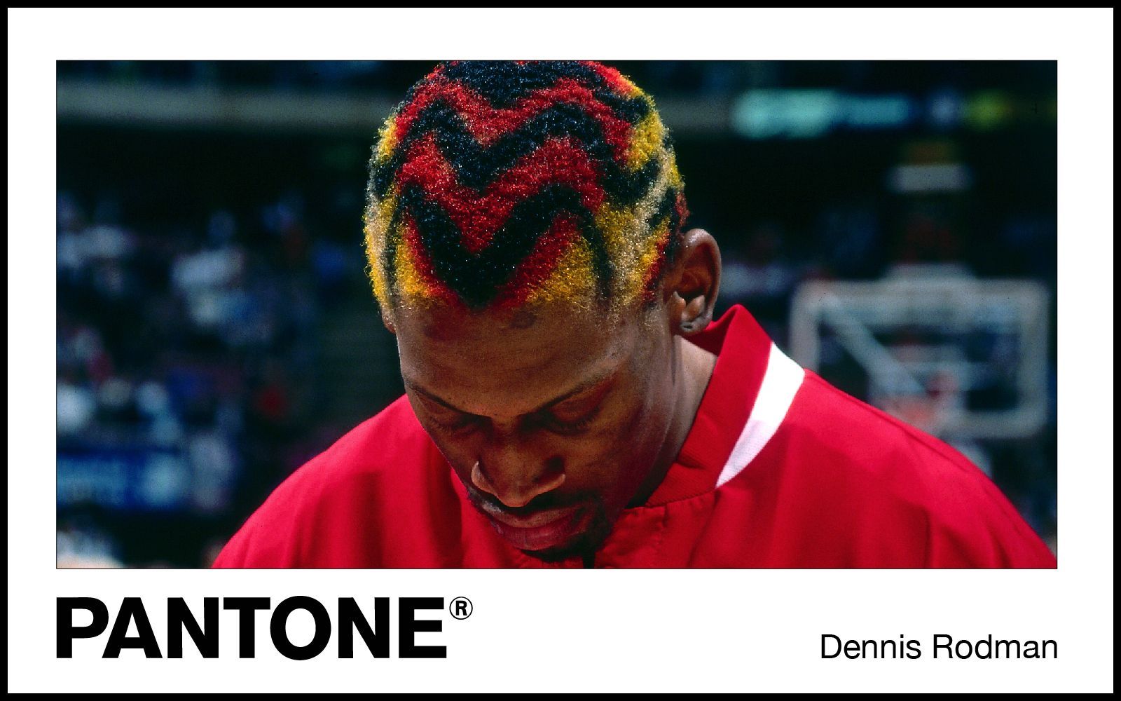 The Pantone colors of Dennis Rodman hair