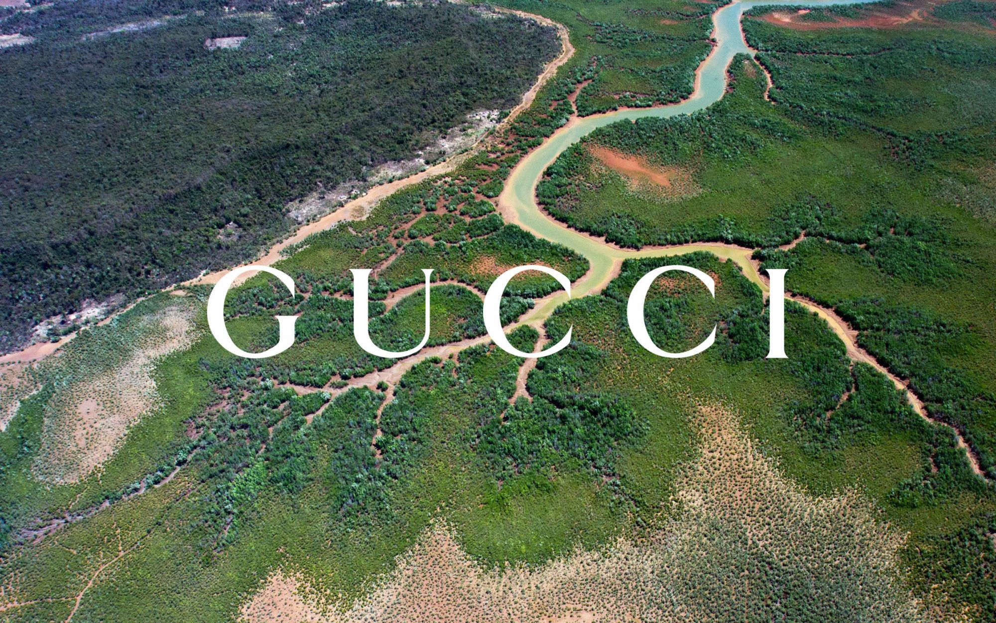 How Gucci plans to become a nature-positive brand