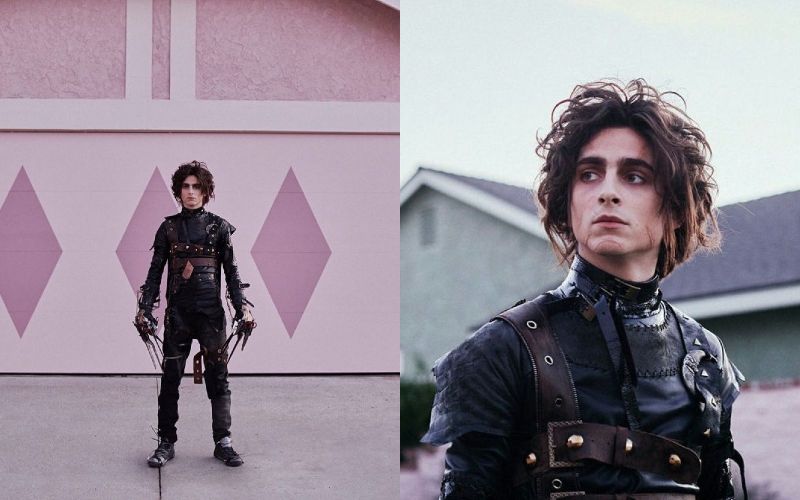 Timothée Chalamet like Edward Scissorhands