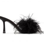 Storia ed evoluzione delle piume - La leggerezza del plumage e il loro ...