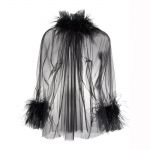 Storia ed evoluzione delle piume - La leggerezza del plumage e il loro ...