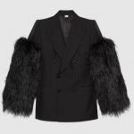 Storia ed evoluzione delle piume - La leggerezza del plumage e il loro ...