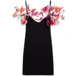 Storia ed evoluzione delle piume - La leggerezza del plumage e il loro ...