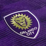 Lions on football teams' crest - nss sports