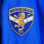 Lions on football teams' crest - nss sports