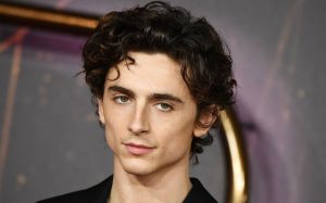 Timothée Chalamet will play Bob Dylan in a new biopic