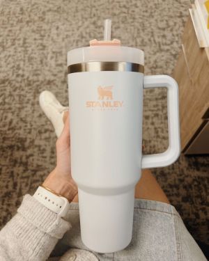 Stanley Cup: what are they and why are they so famous?