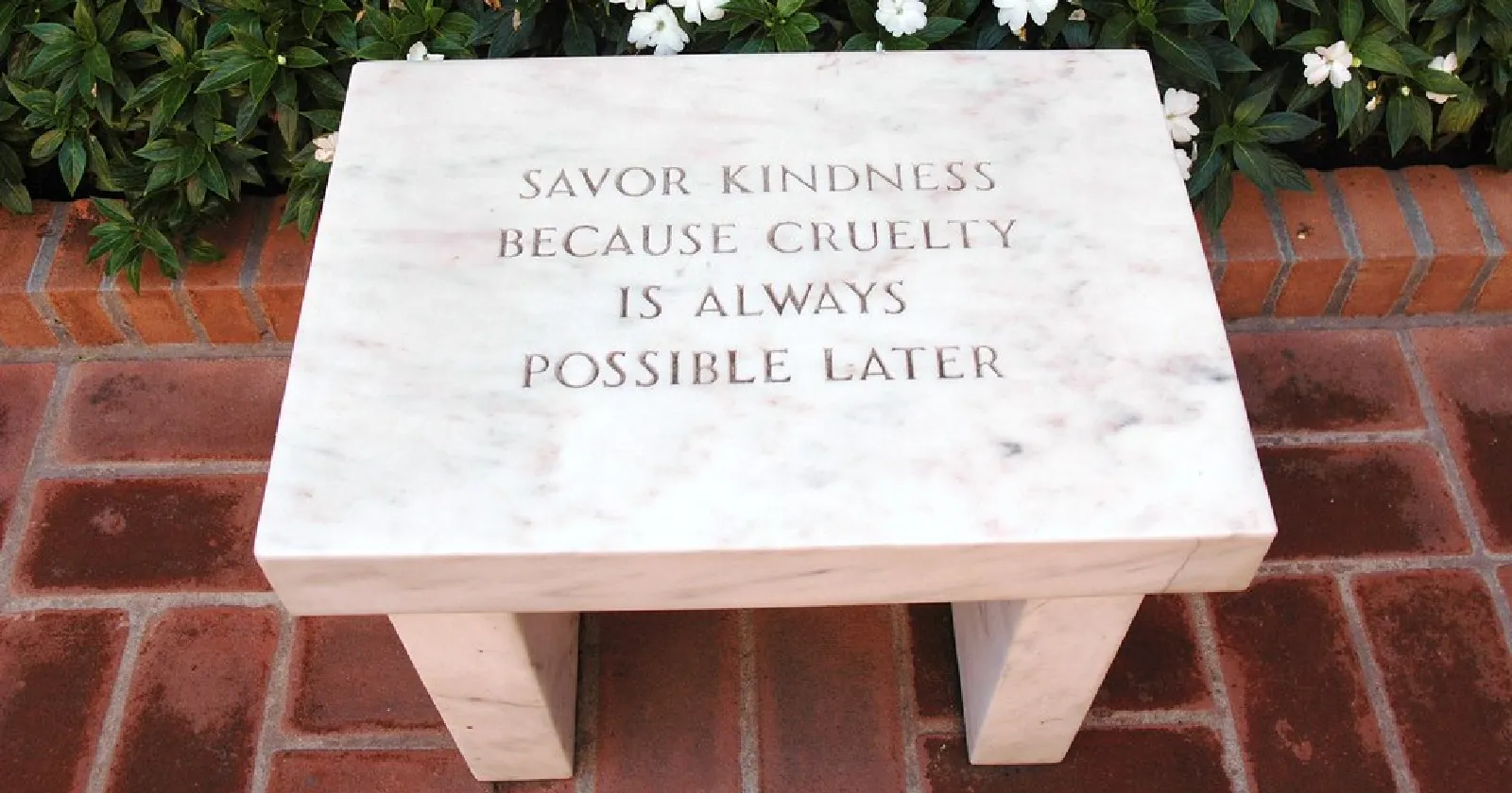 The Power of Kindness: A Silent Revolution - nss magazine