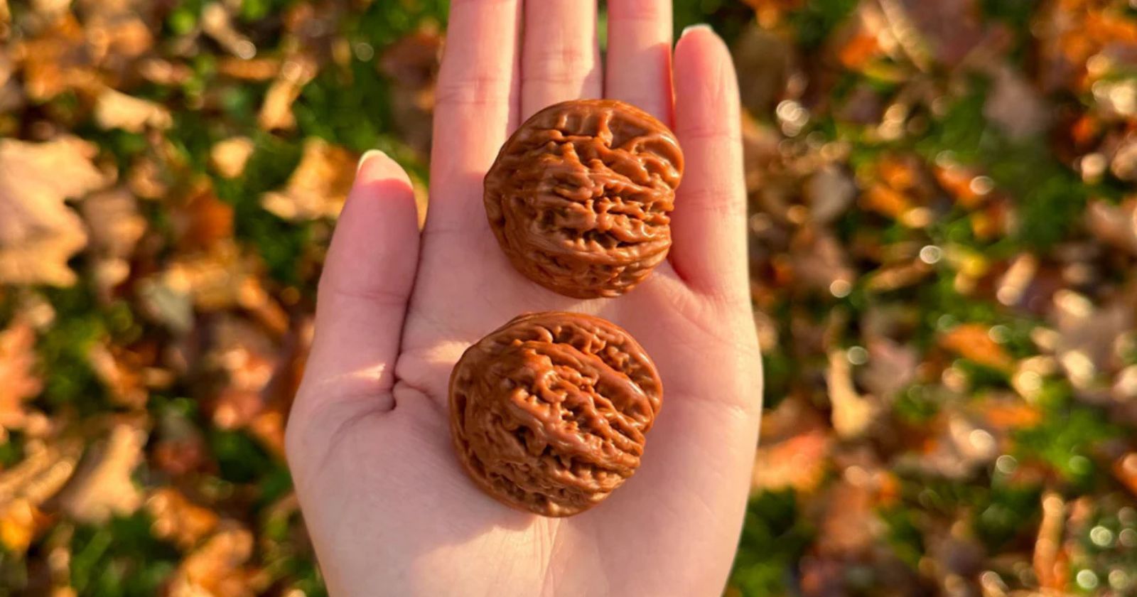 Wenwan Walnuts: The TikTok Trend Turning Walnuts into "Jade" - nss G-Club